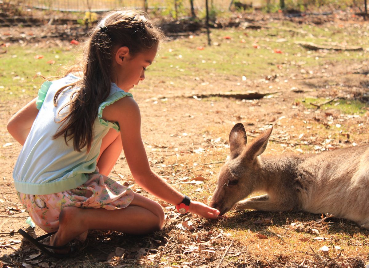 Why Wildlife HQ Zoo should be on your 'Must Visit' list